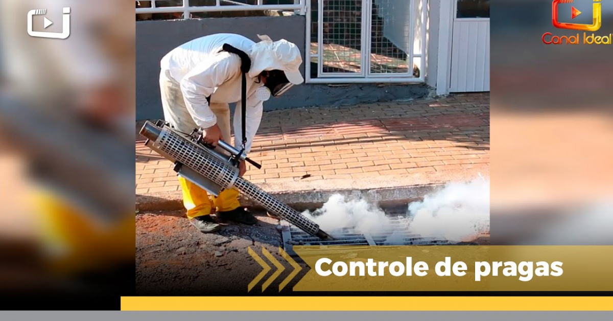 VÍDEO: Fumigação para controle de pragas é realizado em Xaxim