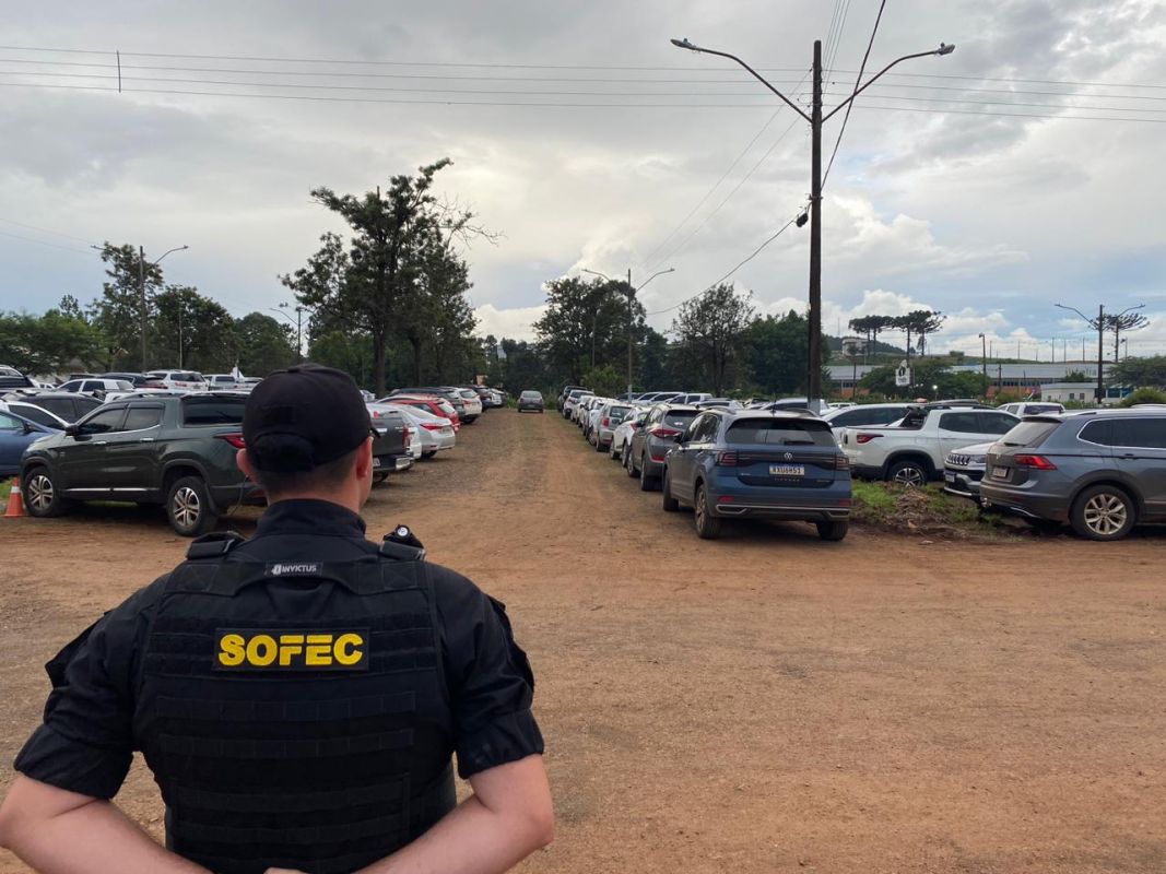 Sofec oferece segurança e organização no estacionamento durante a ...